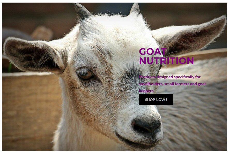 Goat Nutrition - home of the original Caprivite – GN Ltd